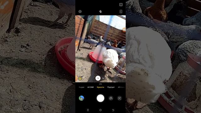 обзор на настен дом