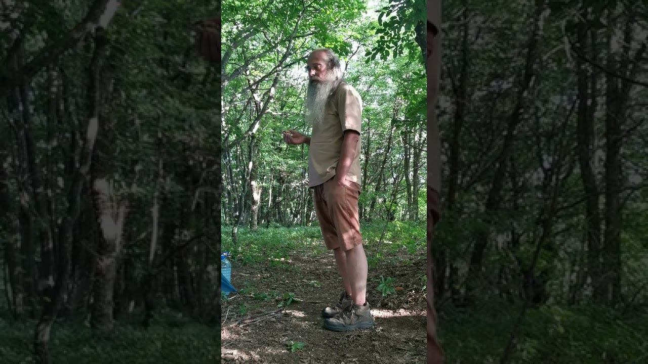 ЛАД  Сказ  Великий переход  Выход за калитку