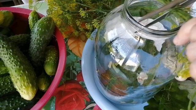 №322 солю огурцы деревенским способом огурцы солёные квашеные без уксуса