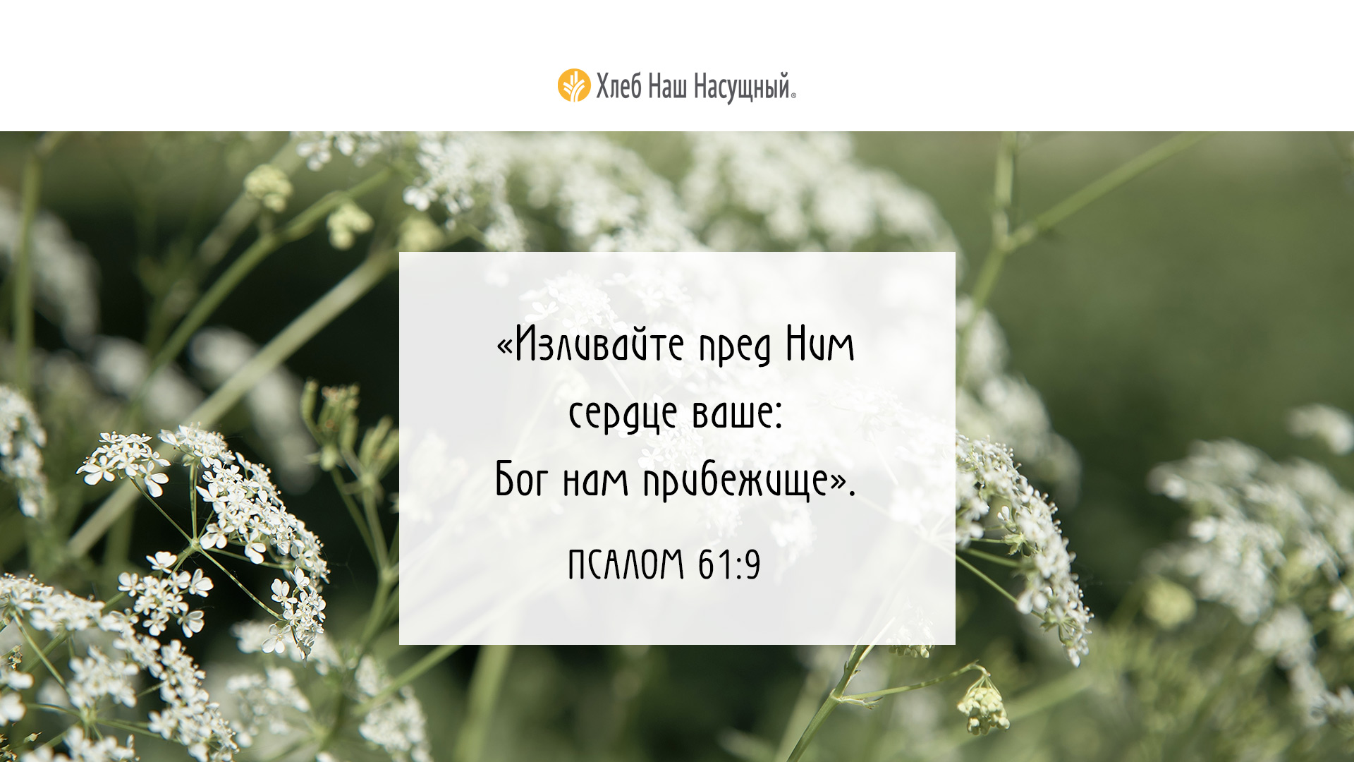 Тоска по дому	| Ежедневное христианское чтение |	3	 мая 2022