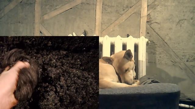 Самодельные топливные брикеты -  угольная пыль с глиной без пресса своими руками