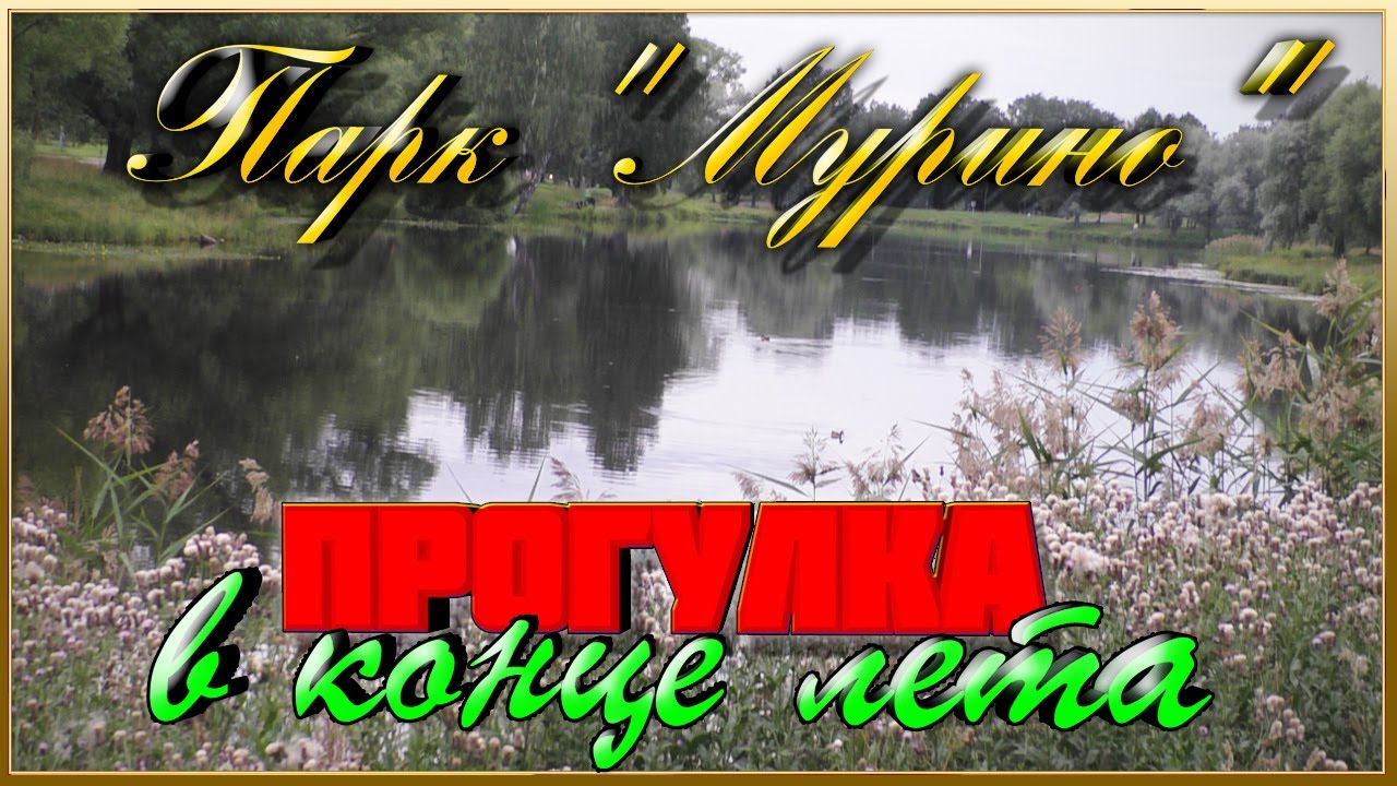 Парк "Мурино" || Прогулка в конце лета.
