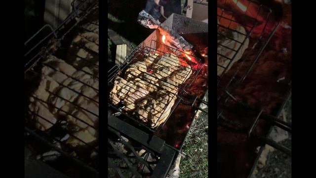 Шашлык из свинины, курицы.