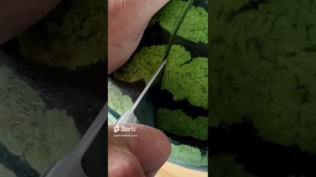 режем жёлтый! cut the yellow!