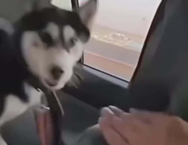 ОЙ ВСЕ!, Я ухожу...