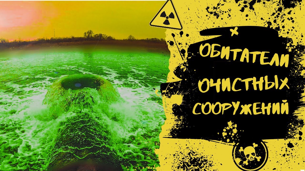 Мормышинг и наноджиг зимой I Что водится на очистных?