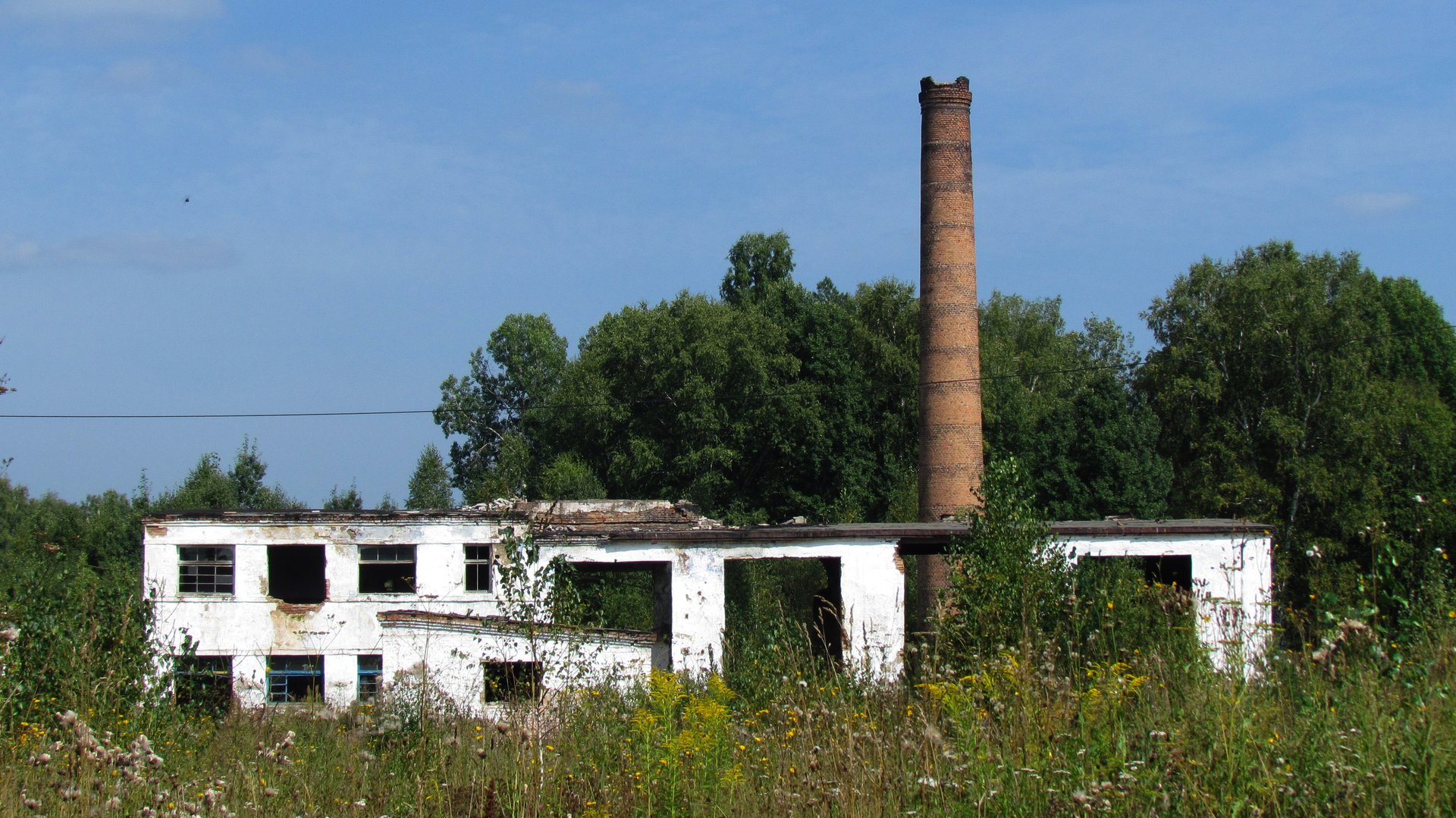 Сталк: Территория бывшей технической базы военного городка №162 (2021)