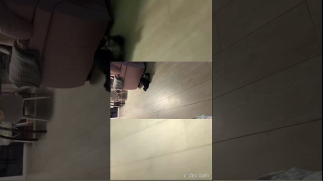 Май - шубу одевай! Вот вам и перезимовали!