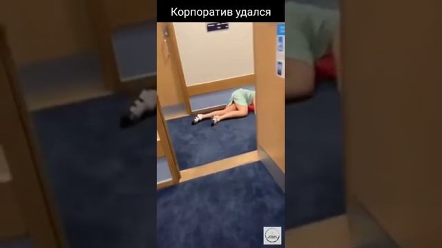 Корпоратив удался ??