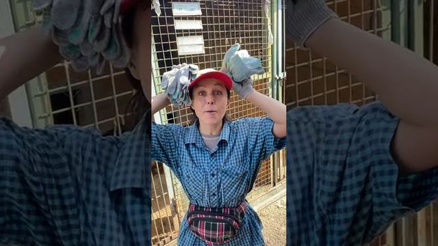 Будем признательны за перчатки и прочие нужности 🙏