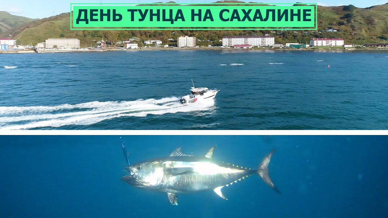 Фестиваль «День сахалинского тунца» впервые прошел на Сахалине