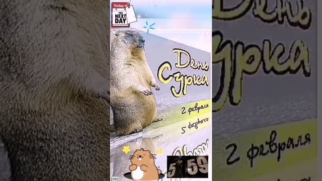 С днем сурка!