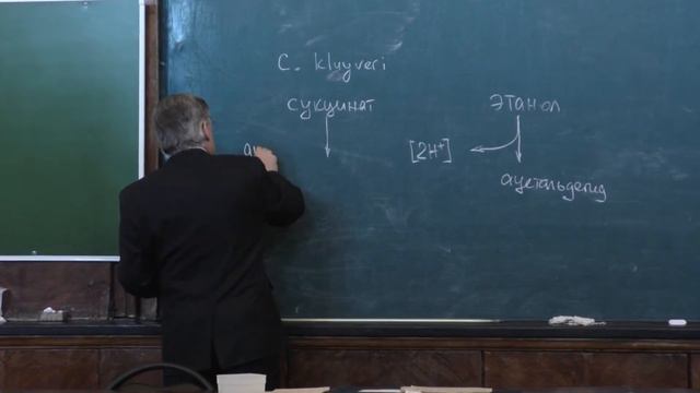 Нетрусов А. И. - Микробиология I - Виды и схема брожений