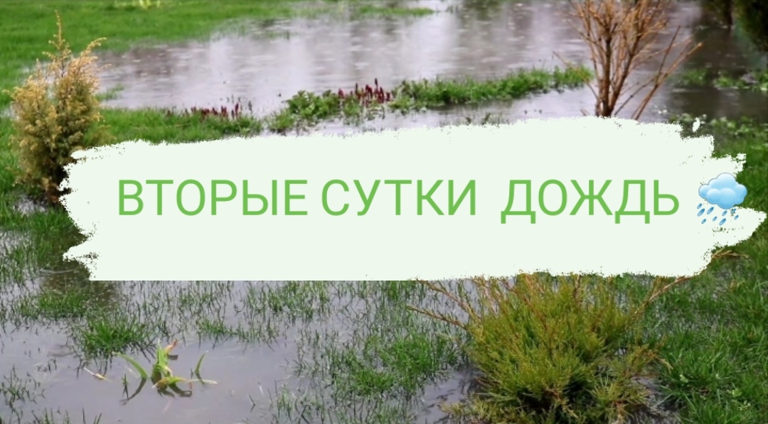 ВТОРЫЕ СУТКИ ДОЖДЬ? ПО ПРОГНОЗУ ЕЩЁ ПАРУ ДНЕЙ БУДЕТ ЛИТЬ?♀️. 20.04.2022 г.