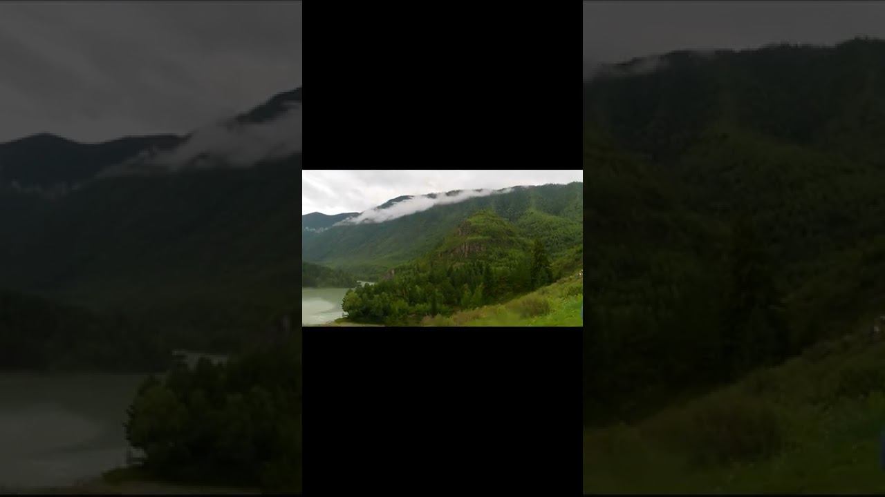 Дороги нет, куда ехать не знаем #shorts