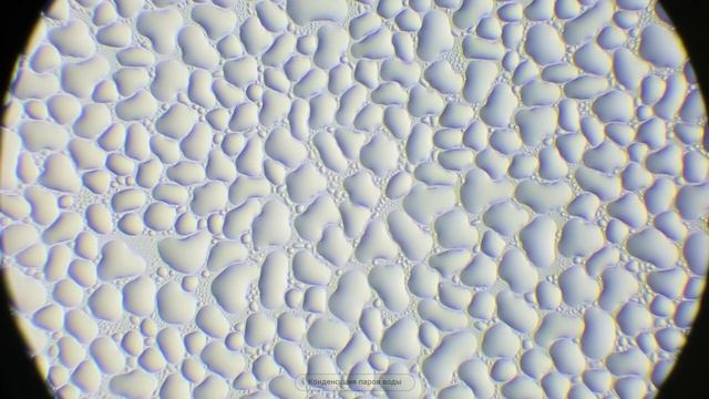 Красота науки #2