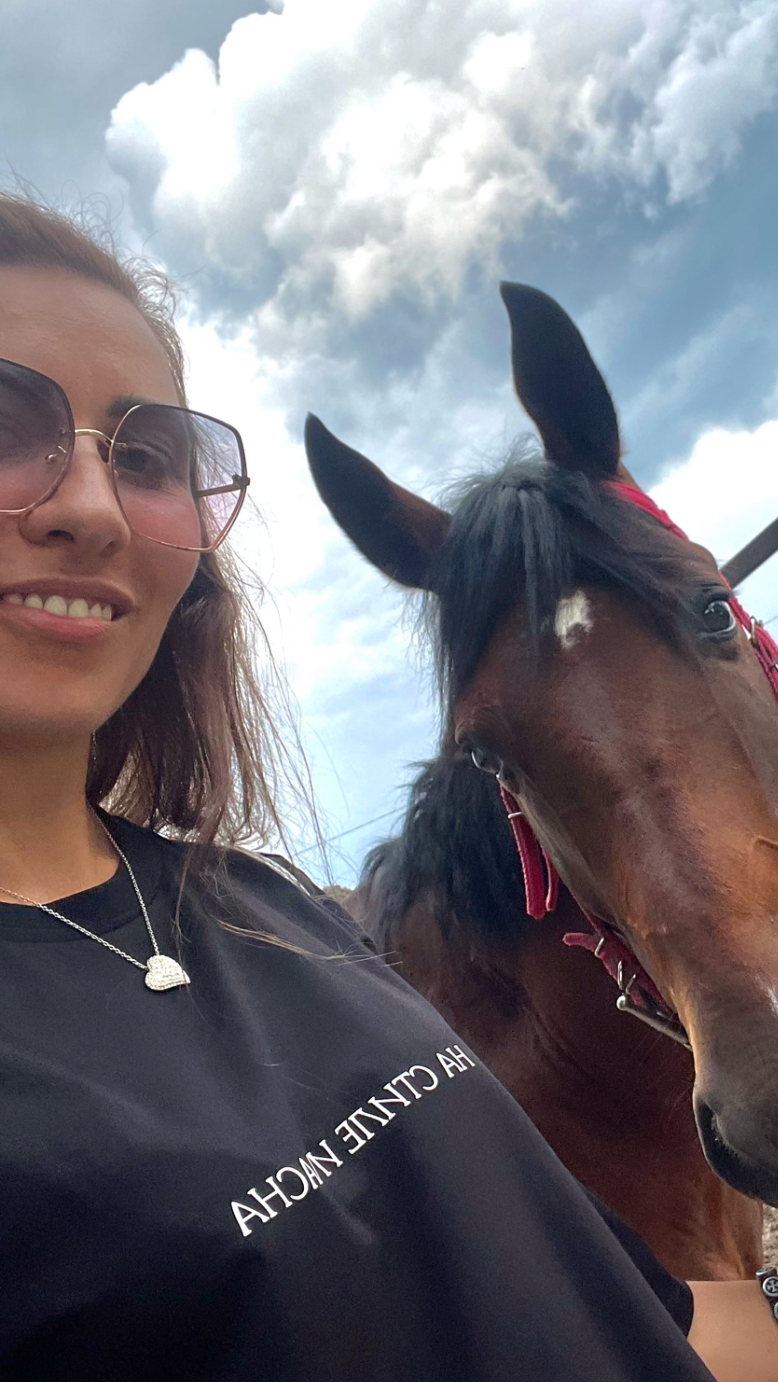 Шагаем с Долларом после плодотворной работы на Раменском ипподроме