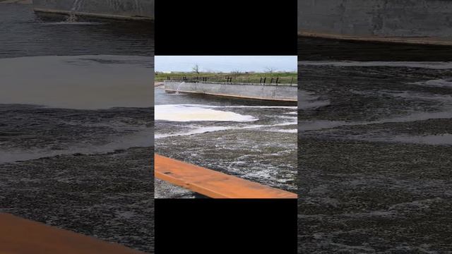 Дамба Петровичского водохранилища 15.04.2024 #shorts