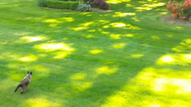 судьба - она такая