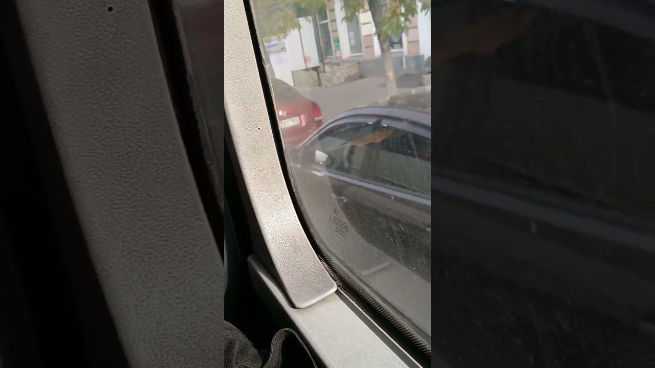 ⚫️Едем домой на Mersedec-Benz О407⚫️Маршрут 53⚫️