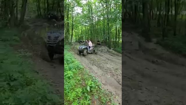 Прокат квадроциклов. Лазаревское