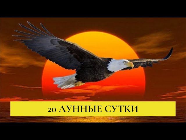 20 ЛУННЫЕ СУТКИ