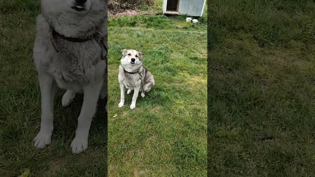 11.Купила ЗАБРОШЕННЫЙ дом и делаю в нем швейную МАСТЕРСКУЮ.