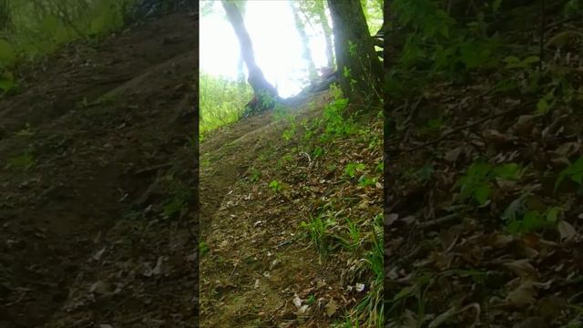 Брат Прохват #enduro #эндуро #эндуро #питбайк #питбайк #motocross #kayo