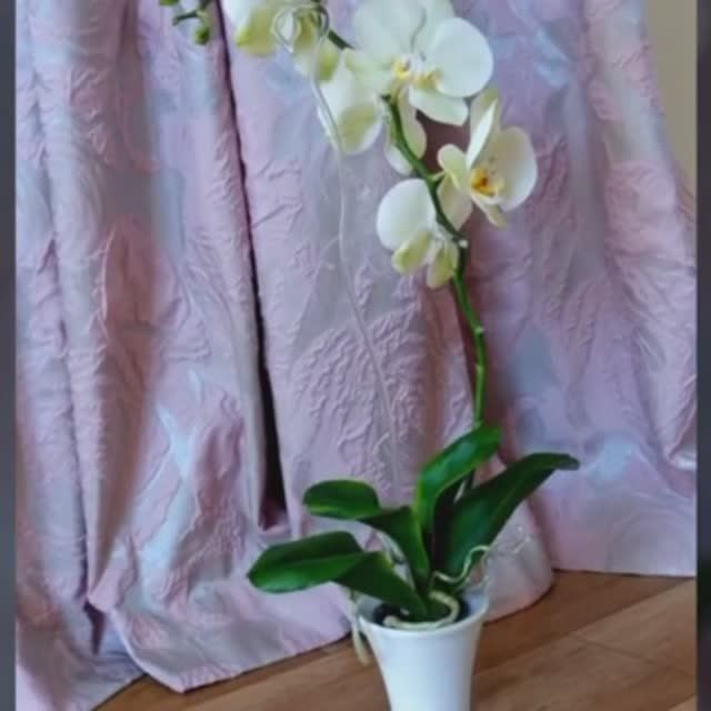 Орхидеи из холодного фарфора. Мои работы