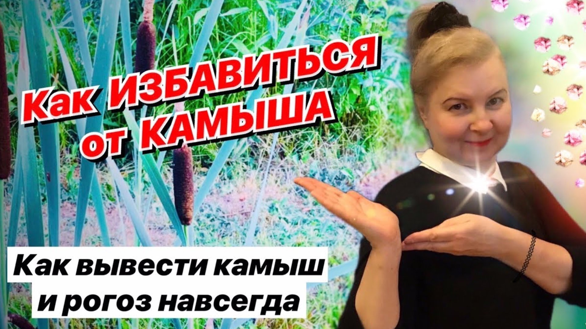 Как избавиться от камыша НАВСЕГДА / Лучший способ