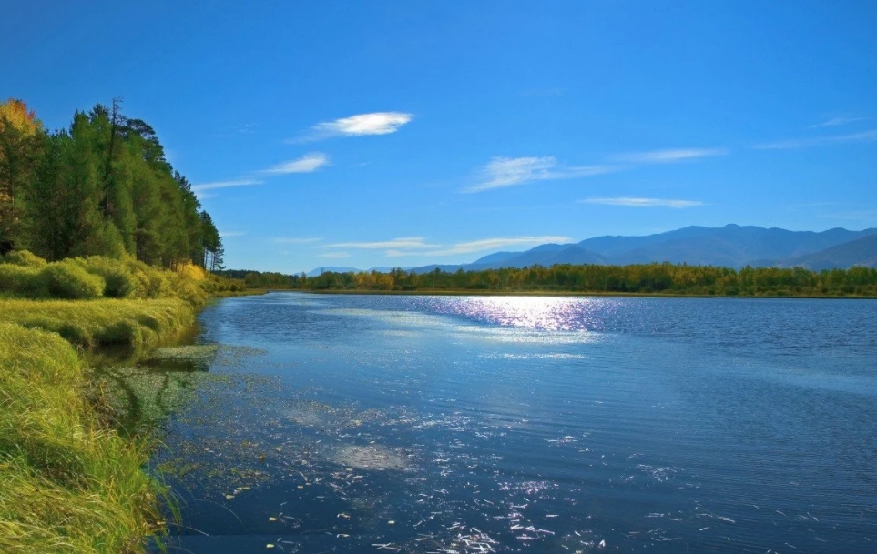 096.Кое что о турнирах МК.mp4