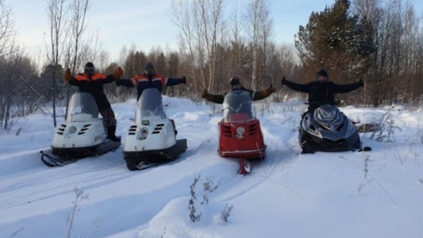 Тайга барс и бураны