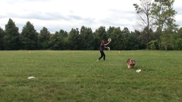 ЗахватДиски Комбо Маргарита и Вижн.mp4