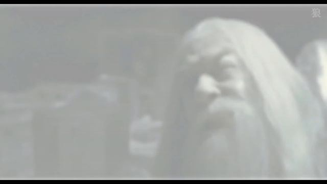 The Beauty of Harry Potter & Fantastic Beasts