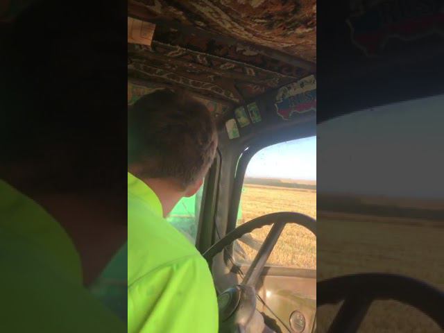 Сбор урожая