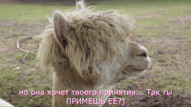 Разговор с источником. Принятие