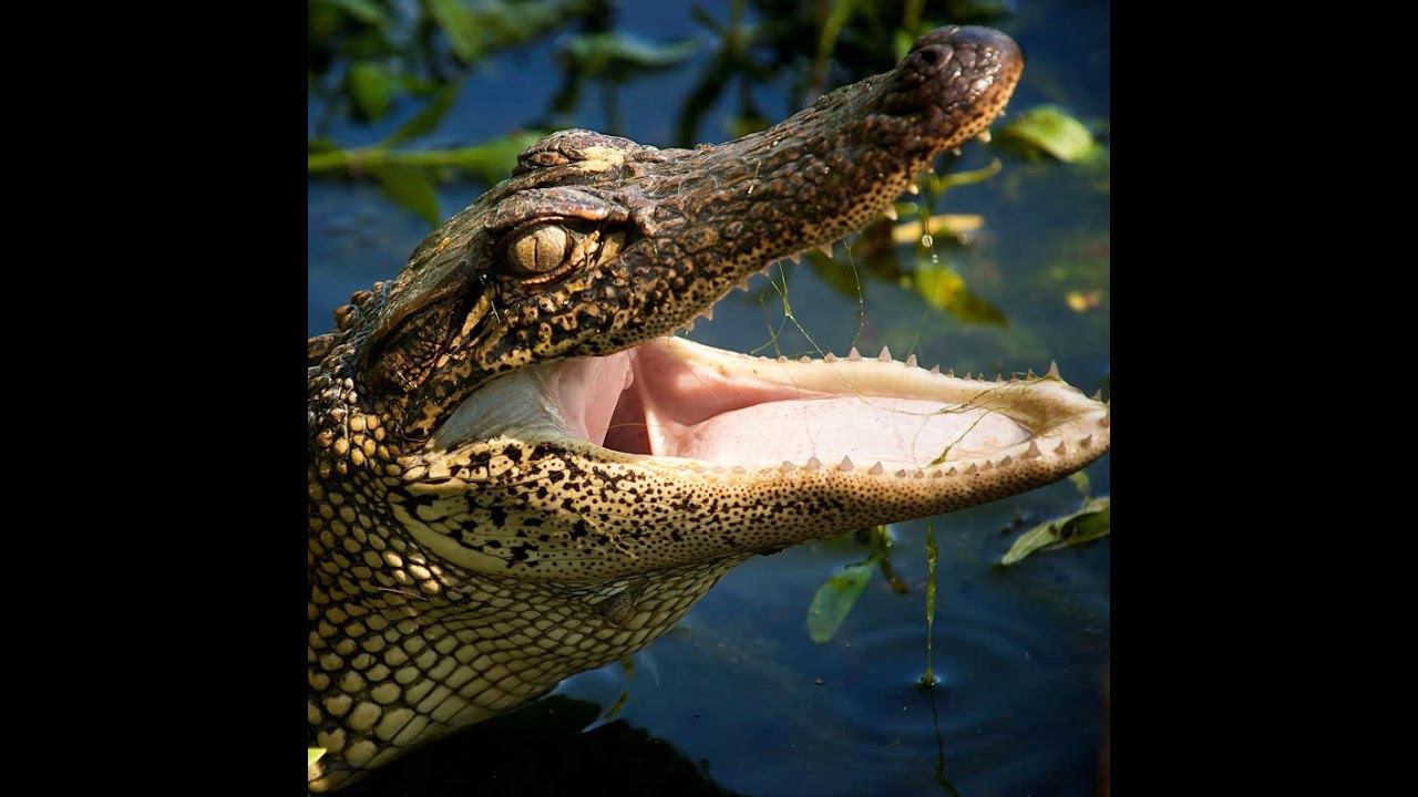 23 Лунные Сутки.