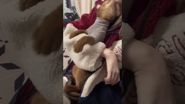 Душа танцев просит ??