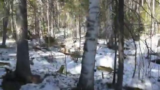 Вспомогательные способы ориентирования. Часть 11