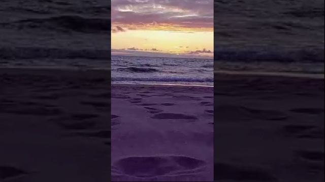 Куршская коса восход