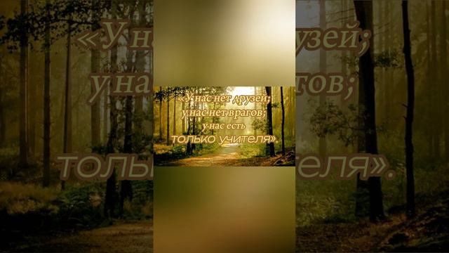 У НАС ЕСТТЬ ТОЛЬКО УЧИТЕЛЯ #Shorts