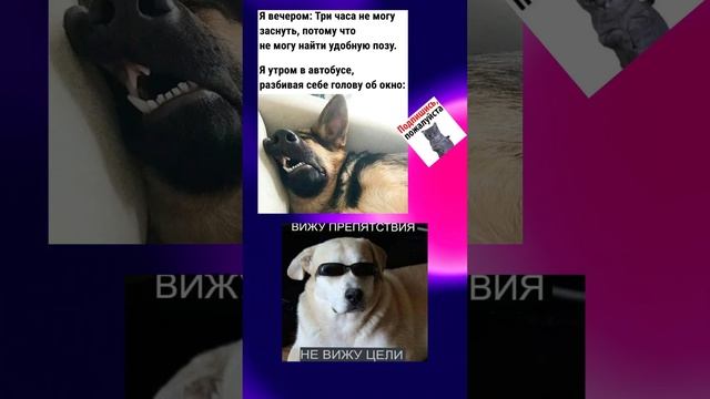 #рек #юмор #мем #мемы