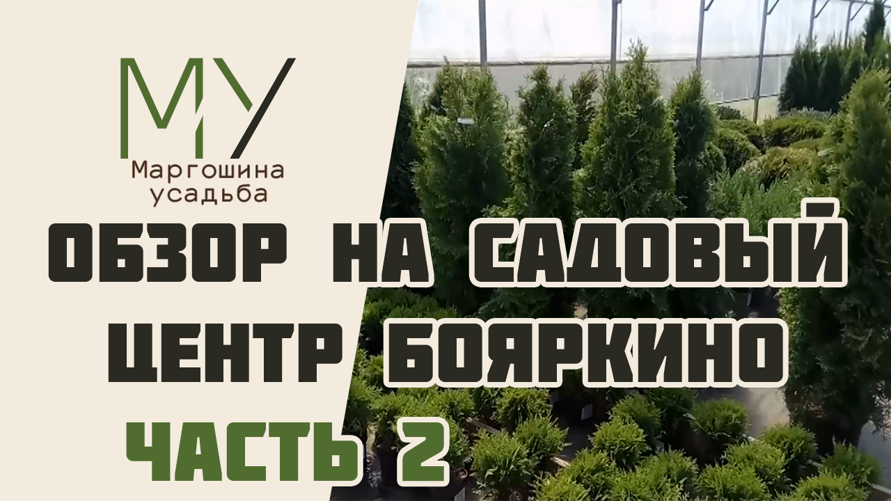 Обзор на Садовый центр Бояркино. Часть 2