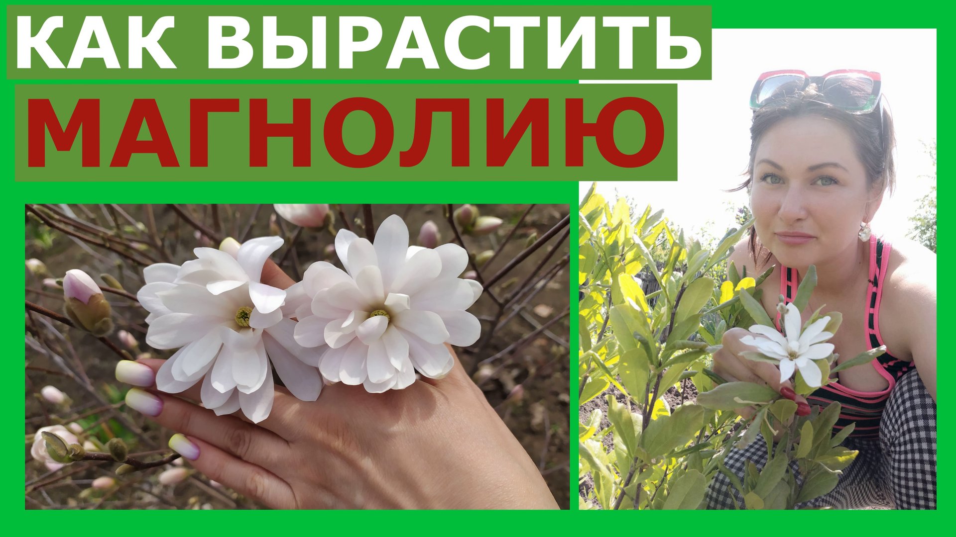 КАК ВЫРАСТИТЬ МАГНОЛИЮ В СВОЁМ САДУ