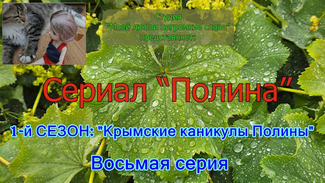 8-я серия - Полина с крымскими котами и собаками