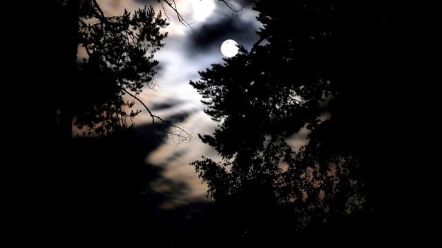 Библия. 09-29. 1-я Книга Царств (29). И собрали Филистимляне все ополчения свои в Афеке.