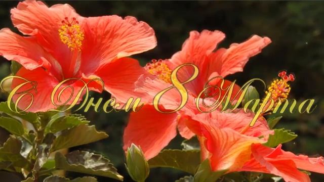 05 поздравления с 8 марта