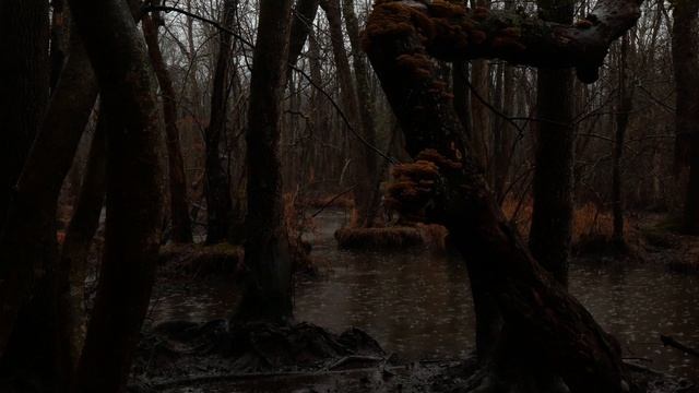 Звуки дождя, для релакса  и спокойствия