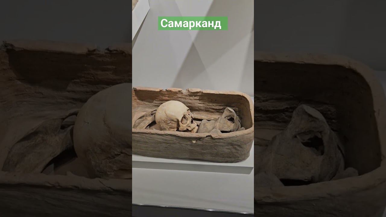 музей истории образования Самарканда #пешкомпомиру #пешкомпогороду #пешкомпосамарканду #travel