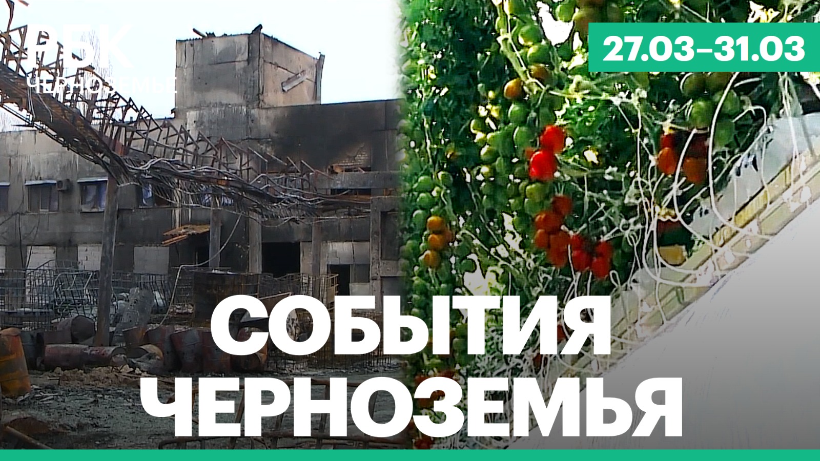 События Черноземья (27.03-31.03)